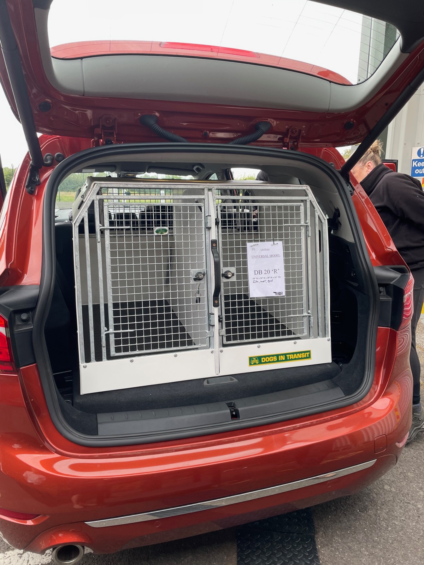 DB20 ready made box for 2 dogs