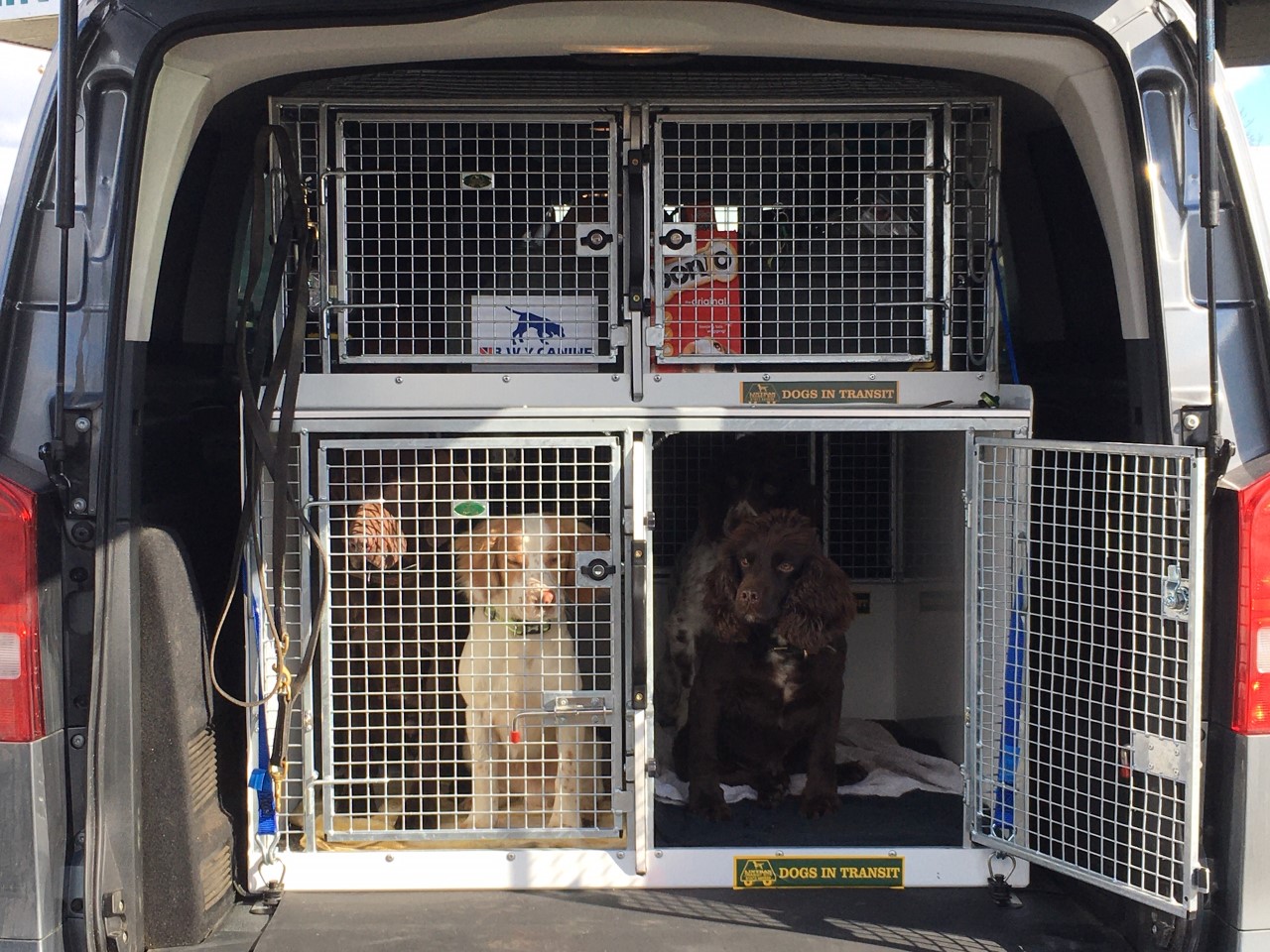 Custom Van Top Tier Dog Box | Elevated Transit | Lintran