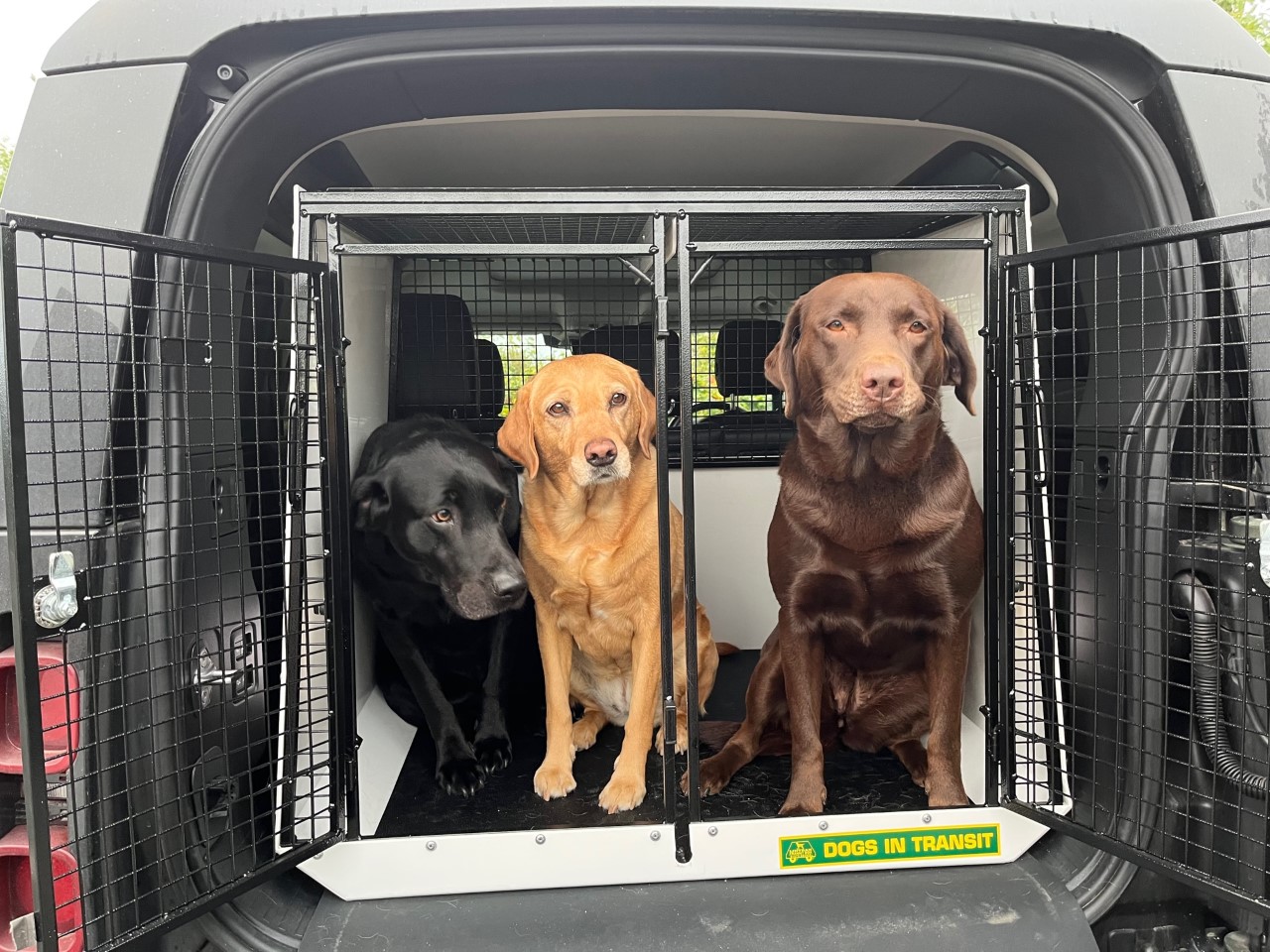 Custom Made Dog Transit Boxes | Perfect Fit & Safety | Lintran