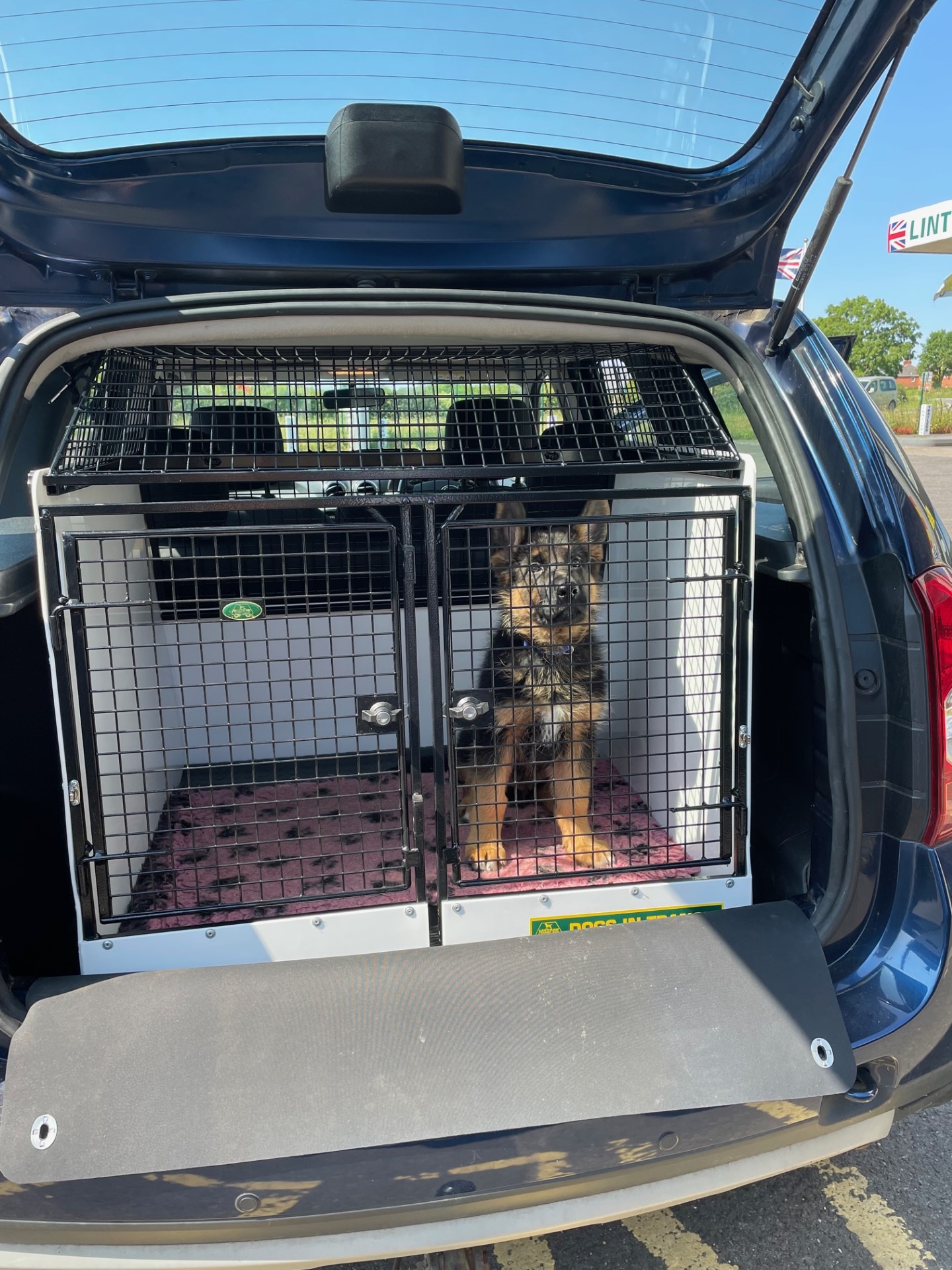 Custom Double Dog Box | Bespoke Multi-Dog Transit | Lintran