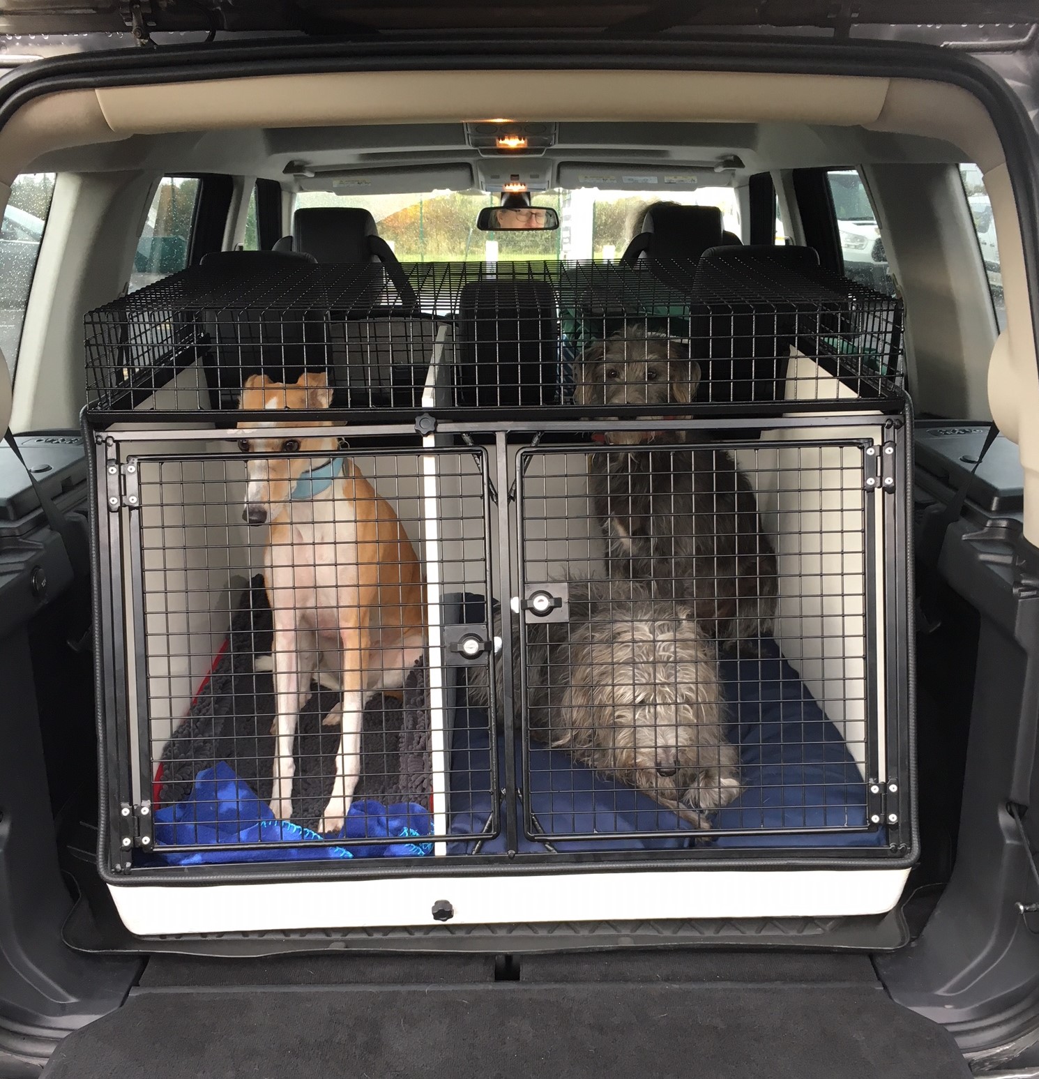Mesh High Top for Dog Boxes | Increased Headroom | Lintran