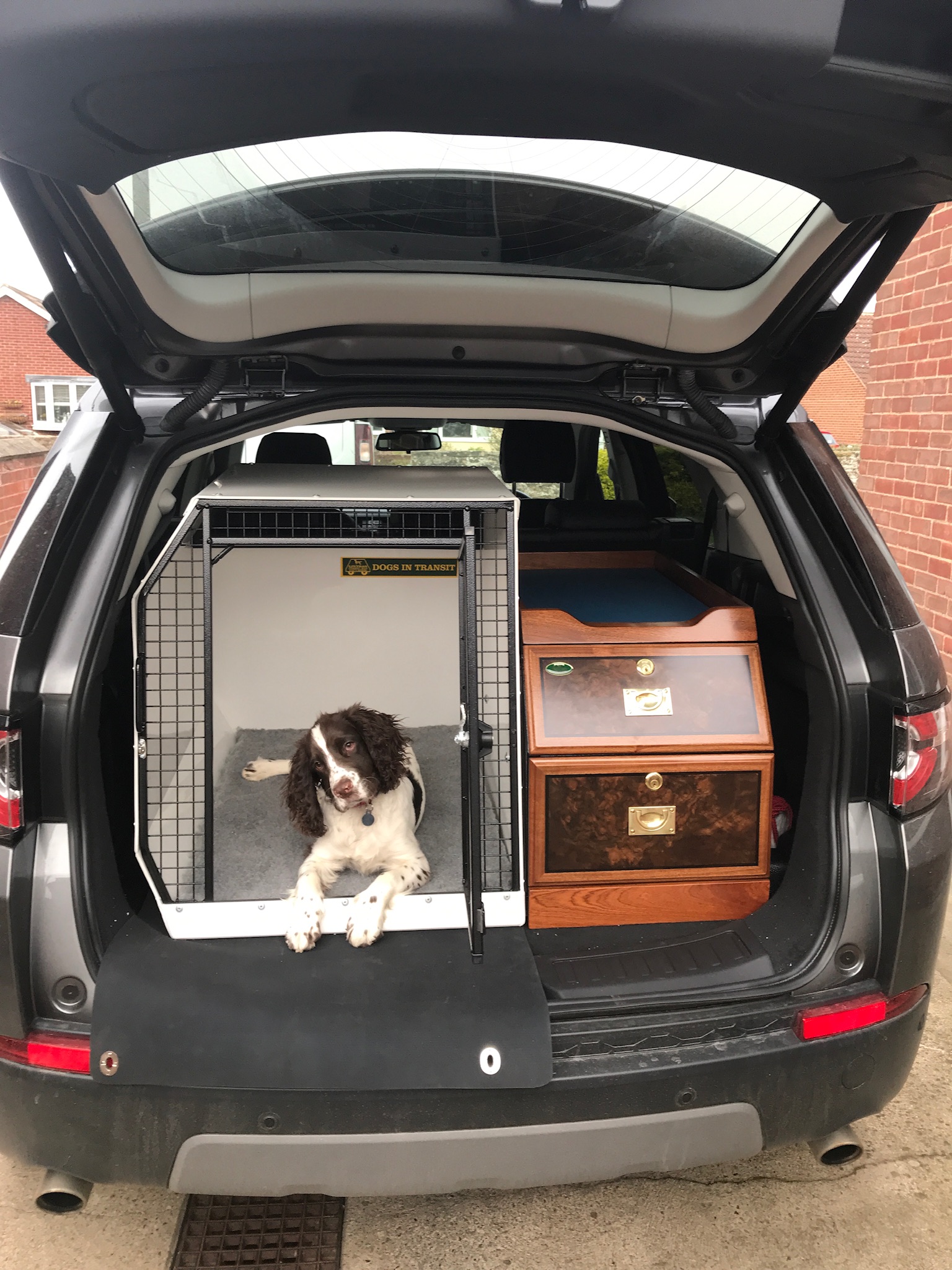 Custom Made Dog Transit Boxes | Perfect Fit & Safety | Lintran