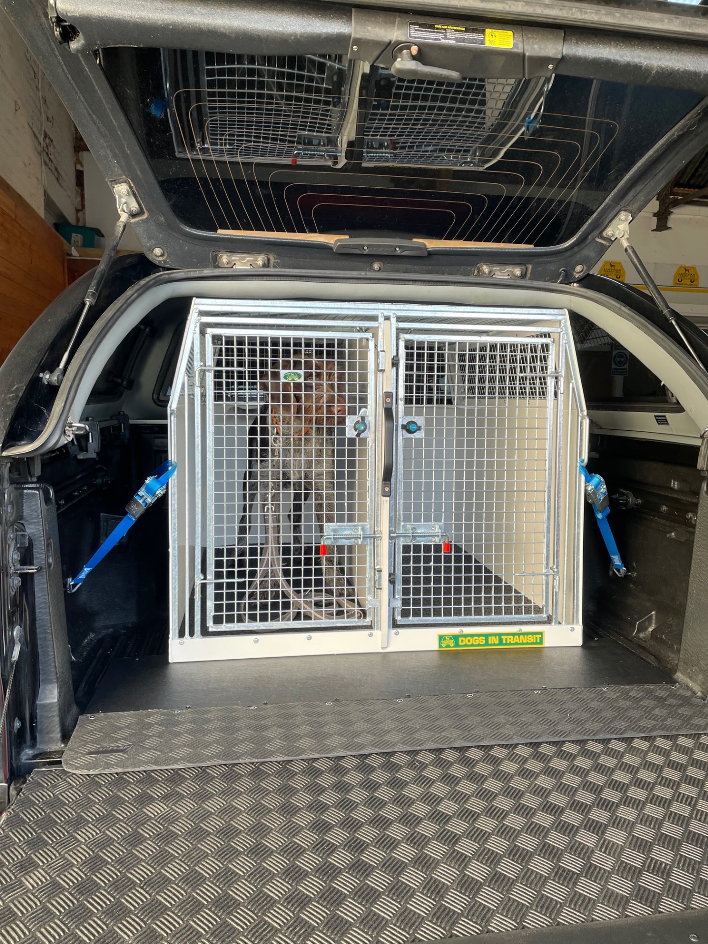 Double Dog Box | Secure Multi-Dog Transport | Lintran