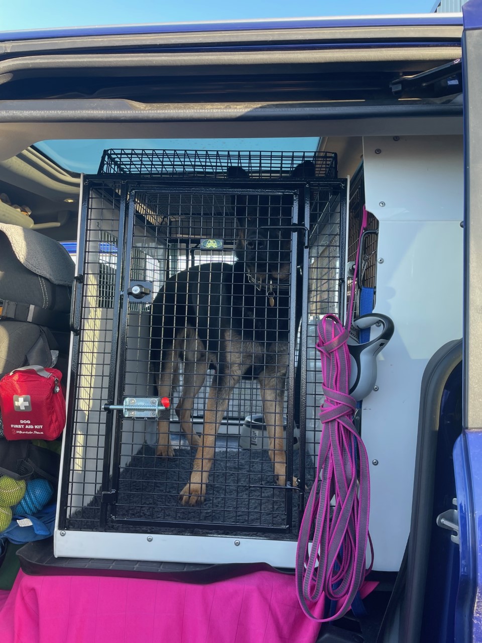 Cross Box Dog Transit System | Versatile & Secure | Lintran