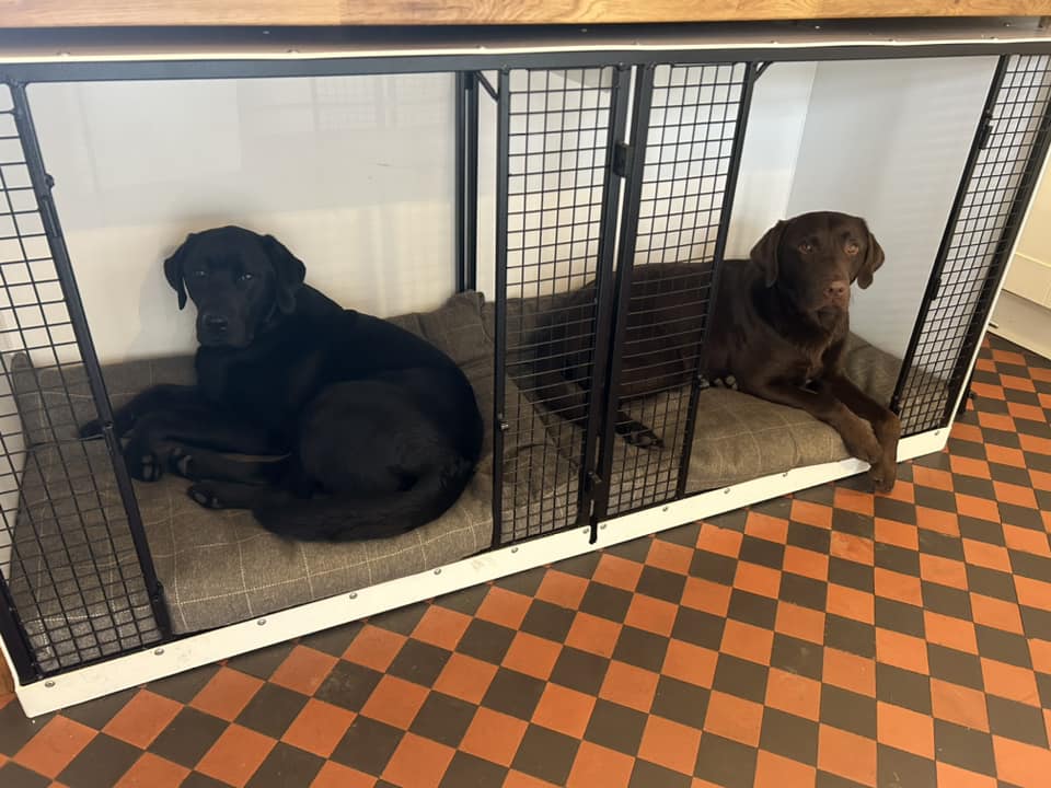 Dog House Pen | Secure & Comfortable Enclosure | Lintran