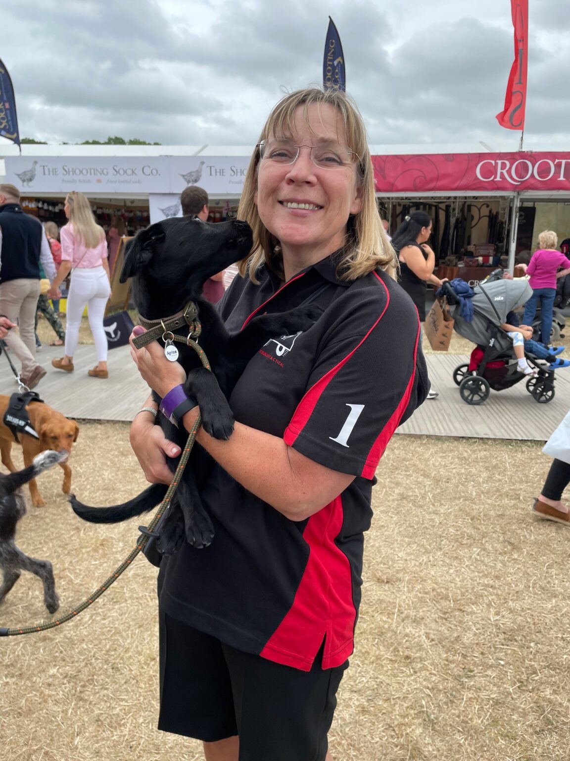 Who We Are | Lintran K9 – Experts in Dog Transit Boxes