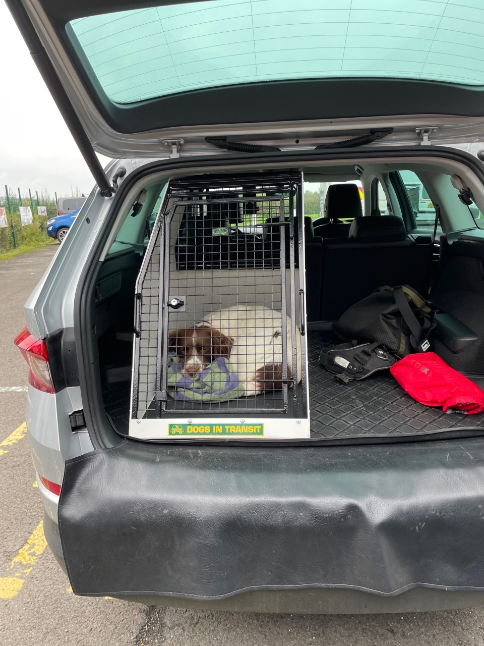 Custom Single Dog Box | Tailored for Your Vehicle | Lintran