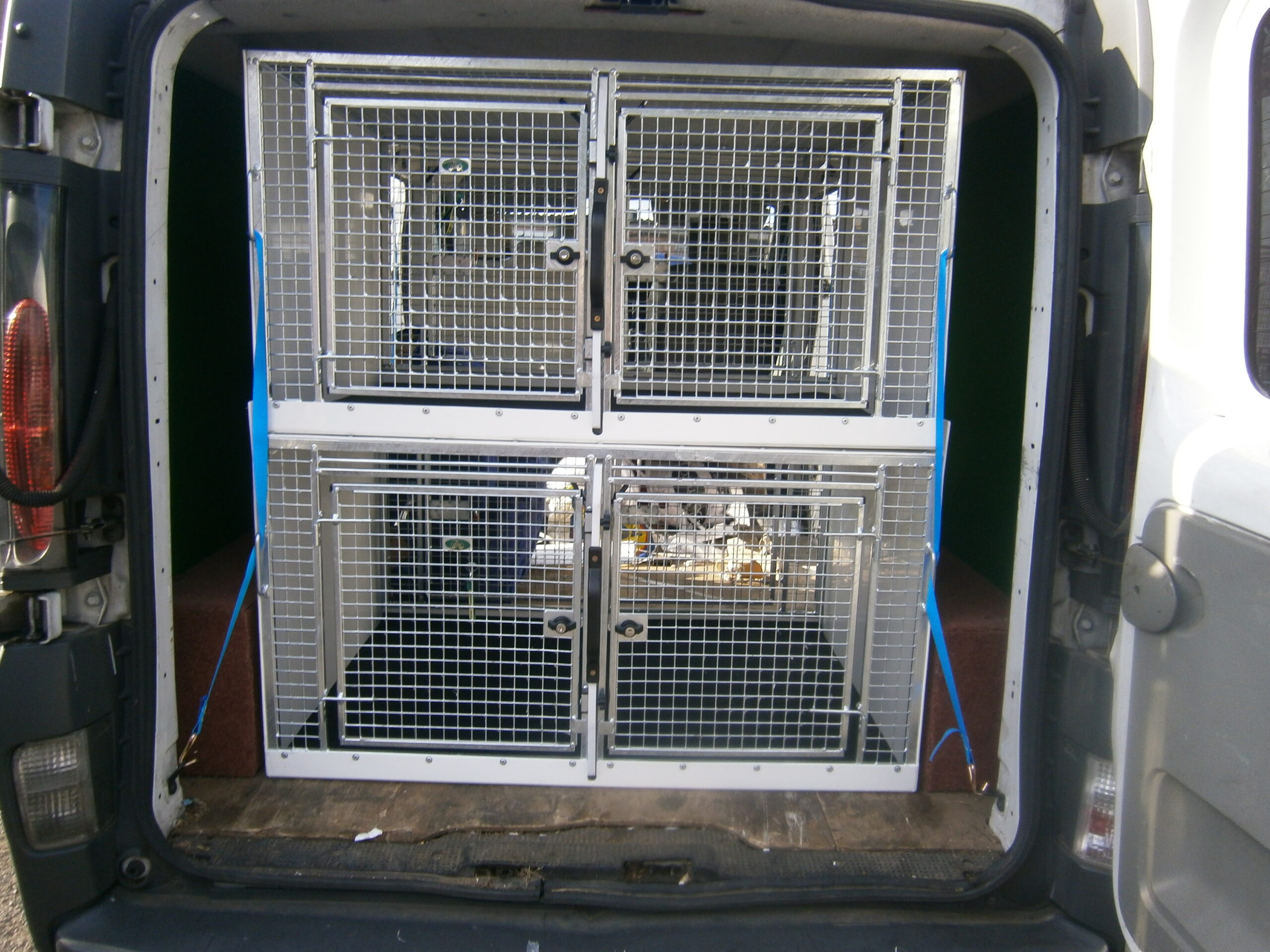 Custom Van Top Tier Dog Box | Elevated Transit | Lintran