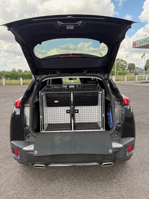 Mesh High Top for Dog Boxes | Increased Headroom | Lintran