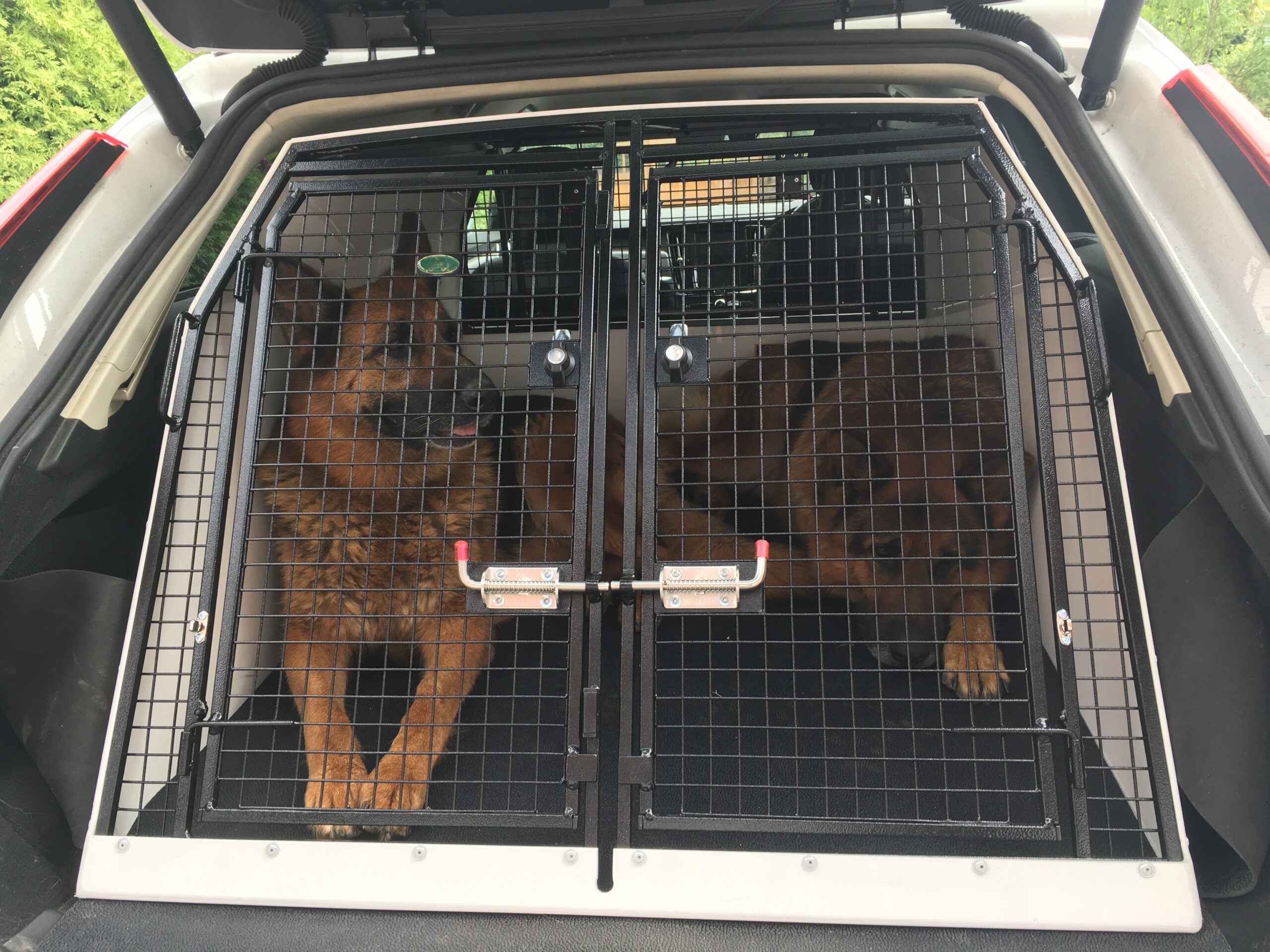 Custom Seats Down Dog Box | Vehicle Specific Fit | Lintran