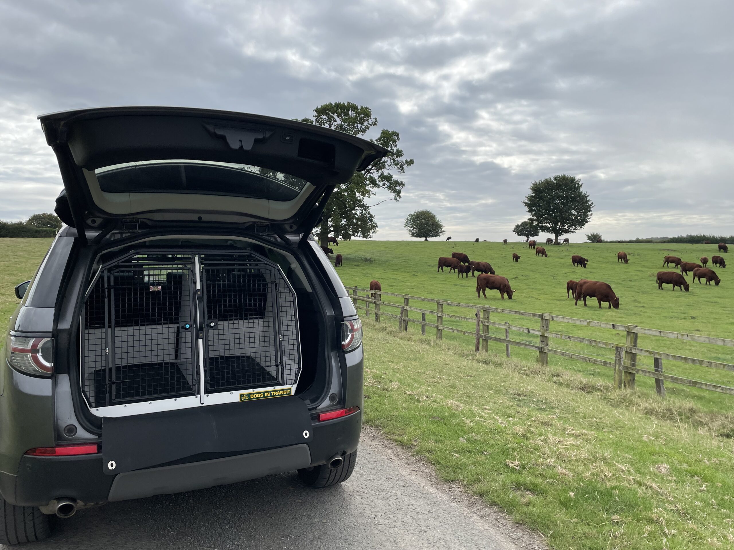 The Lintran story - Lintran K9