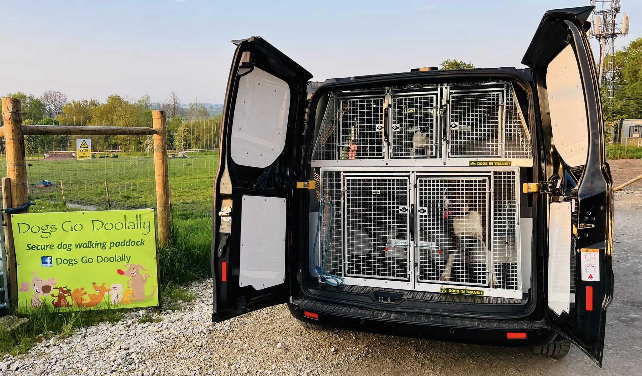 Custom Van Triple Top Tier Dog Box | Multi-Dog Solution | Lintran