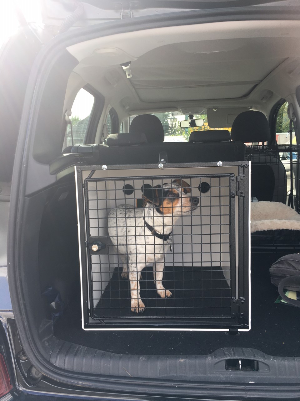 Terrier Box 15 Dog Crate | Compact & Secure | Lintran