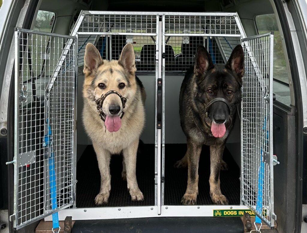 Leading UK dog transit box manufacturer