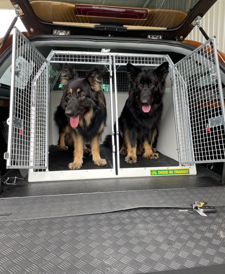 Custom Dog Transit Box for Pick-Ups | Secure & Tailored | Lintran